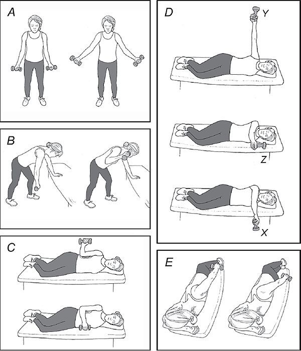 Supraspinatus Tear Exercises